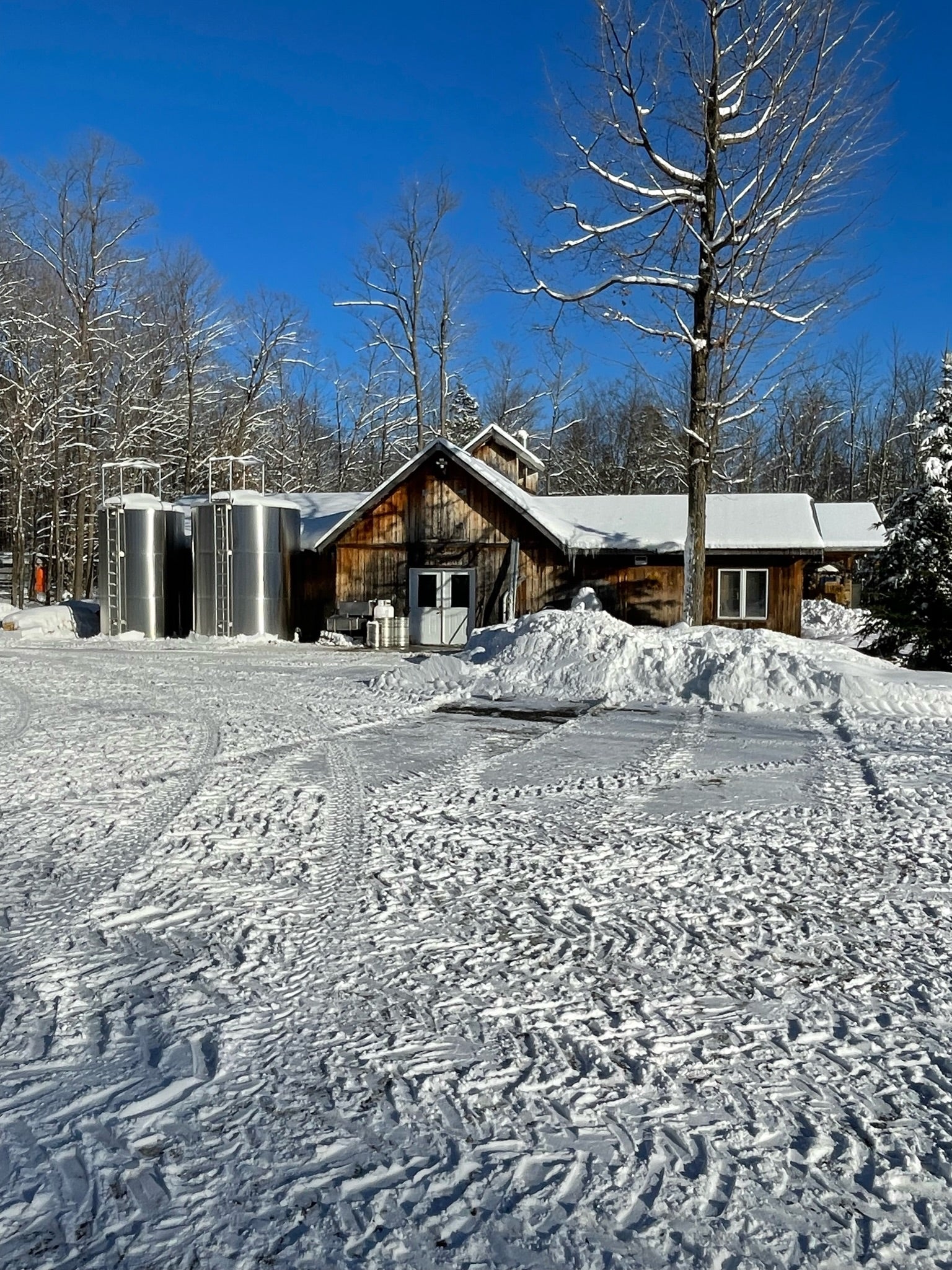 Cassburn Sweets - Canadian Maple Producer - Best Maple Syrup